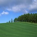 潇洒的白衣书生 