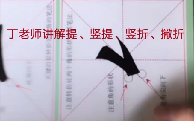 丁老师讲解提,竖折,撇折