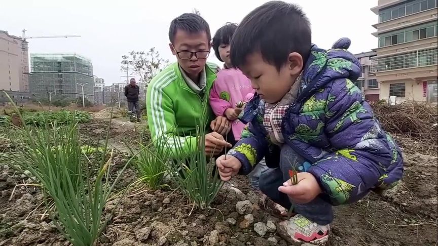 家庭感统游戏分享,锻炼手眼协调和精细动作的感统游戏#感统游戏