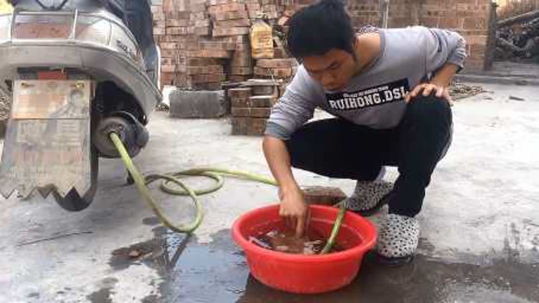 把鱼放入有二氧化氮的水里,它到底能存活多久,结果是这样的