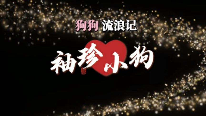 全球都找不到比这更小的狗狗啦,袖珍型的,超可爱