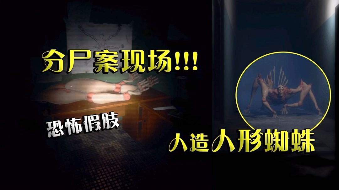 港诡实录04:揭秘恐怖的分尸案现场,凶手想打造人形蜘蛛?