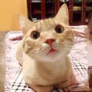 有意思的油管视频 