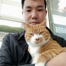 两米高的猫哥和36只猫 