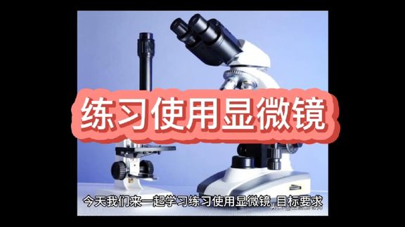 练习使用显微镜