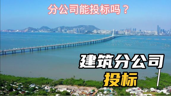 分公司能否投标?