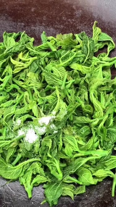 树上的蔬菜——桑芽菜