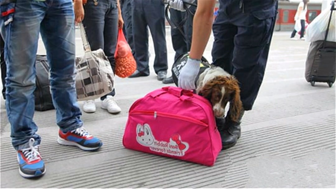 快过年了,坐火车这4样东西记得不要带,不是迷信,看完提示家人