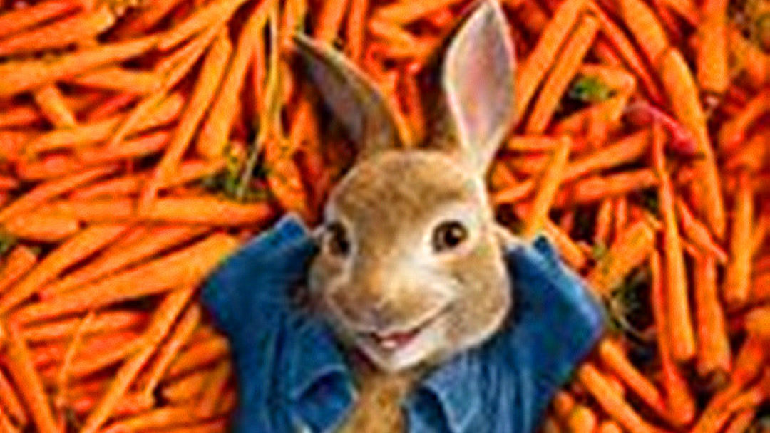 比得兔 第二季 01 萝卜大盗的故事?