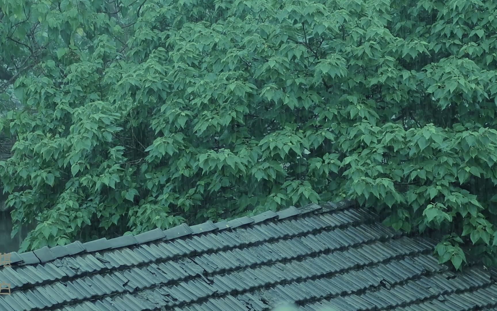 我房间的阳台,也算半个书房~