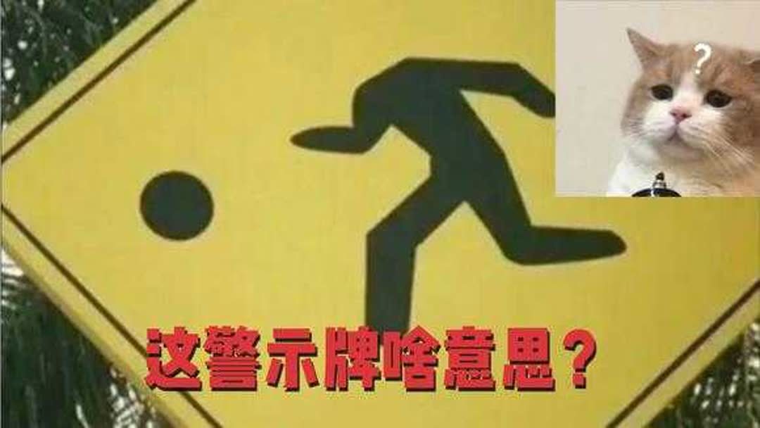 这警示牌啥意思?有没有大神能告诉我一下