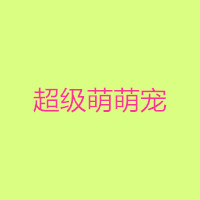 超级萌萌宠 