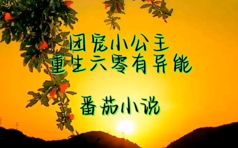 团宠小公主重生六零有异能