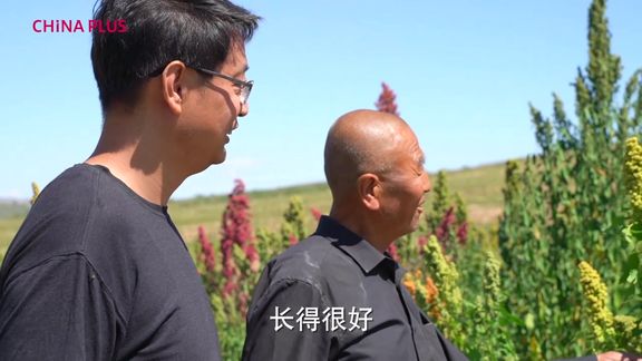 微视频《国人素描》:生态修复