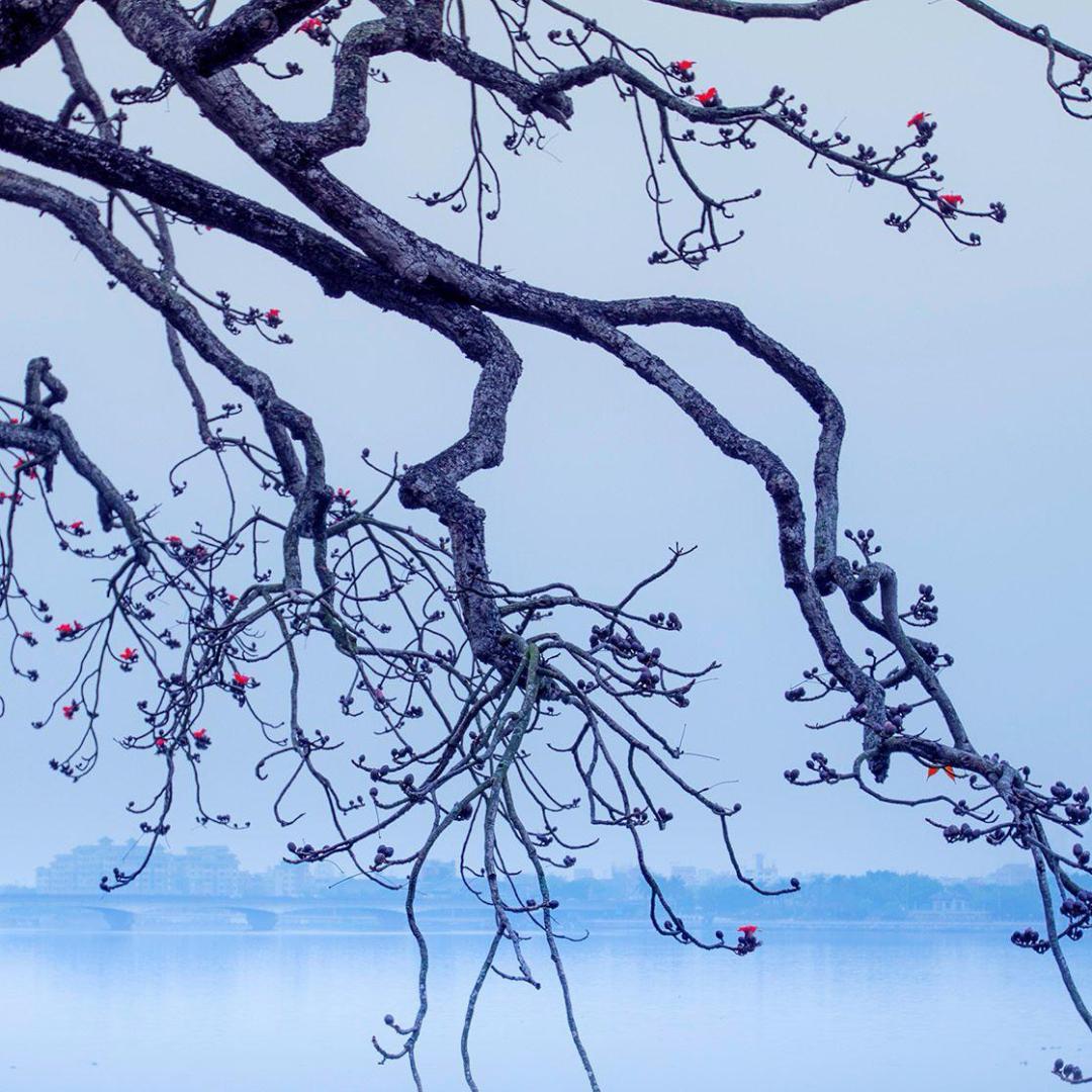 确实是山东大汉 