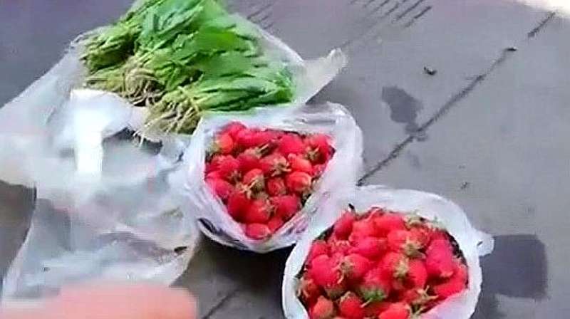 草莓5块一斤,阿姨卖的贵吗?你那草莓多少钱一斤?
