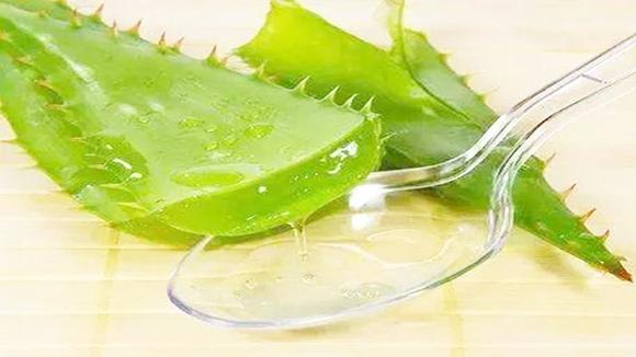 家里养的芦荟能不能直接用来擦脸?可惜现在才知道