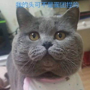 我不信你十七张牌秒我 