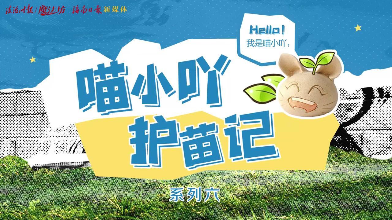 喵小吖护苗记系列(6)斩断网贷、套路贷黑手…#护苗行动