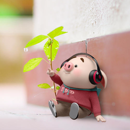 喜欢奶茶的晓晓 