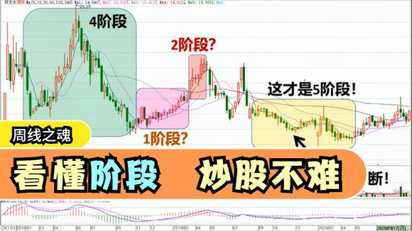 为什么有的股票涨一半就下跌,有的股票涨起来没完没了?
