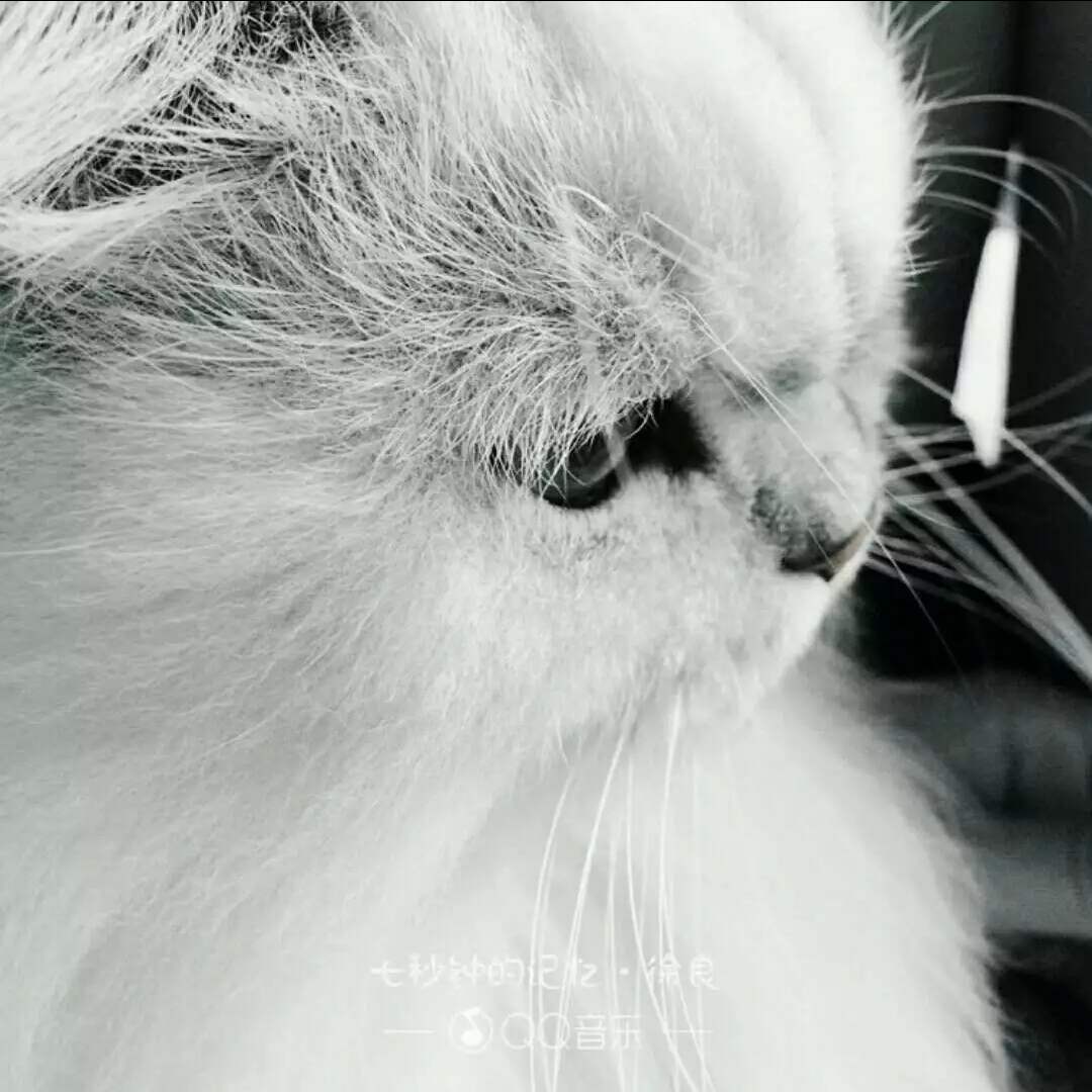 著名de奥格瑞姆U 