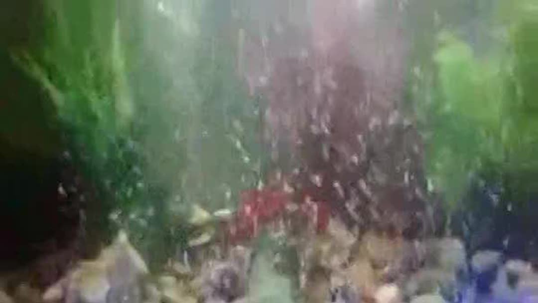 鱼缸制作视频 自制鱼缸(1)