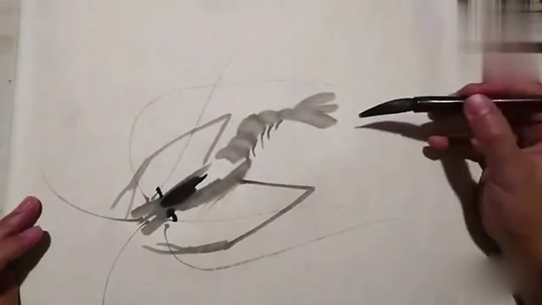中国画艺术—写意虾画法