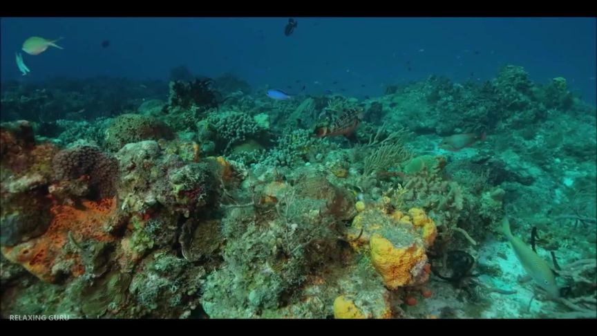 《童年》《月亮船》《情人恰恰+心爱的小马车+我没有骗你》《爱