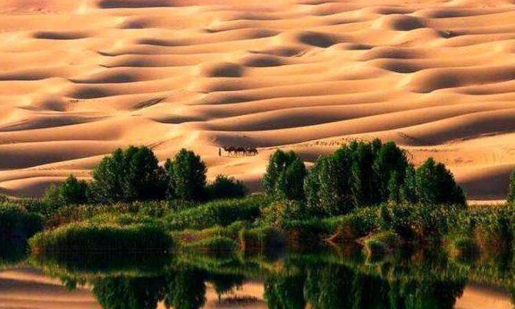 假如沙漠都变成森林,会有很严重的后果,听听科学家的解释