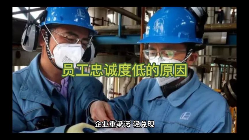 企业员工忠诚度