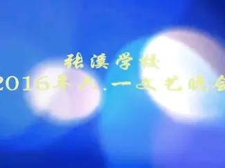 2016年张溪学校六一文艺晚会
