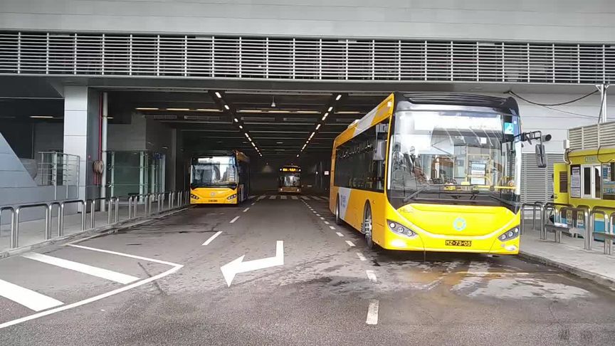 海格客車yyds!#海格#海格客车#澳門巴士 求回关#氹仔客運碼頭