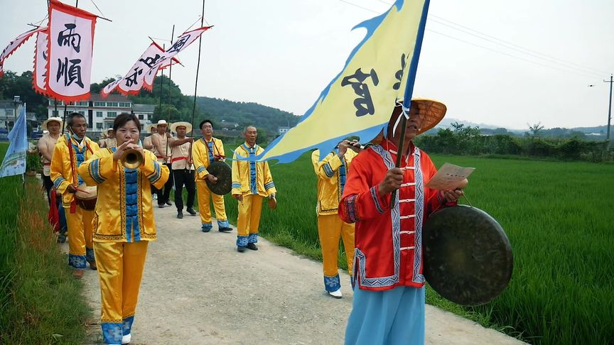 当传统“开秧门”遇上百人稻田“插秧舞”快闪