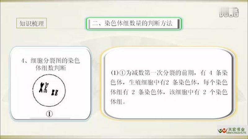 21染色体的判断方法