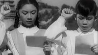 让我们荡起双桨(1955年影片《祖国的花朵》插曲