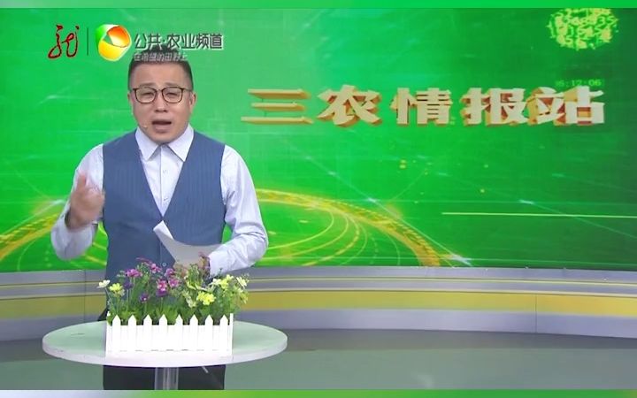【新农村】加强县域商业体系建设促进农村消费的意见