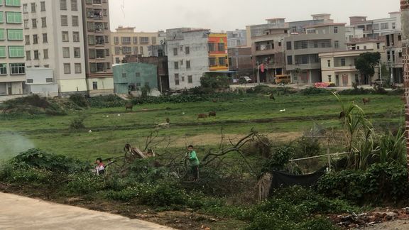 小时候你是不是也这么淘气,踩在树枝上摇晃,不摔的话就好。