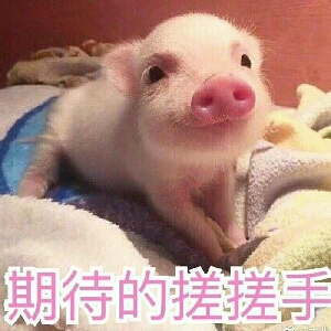 ri九霄 