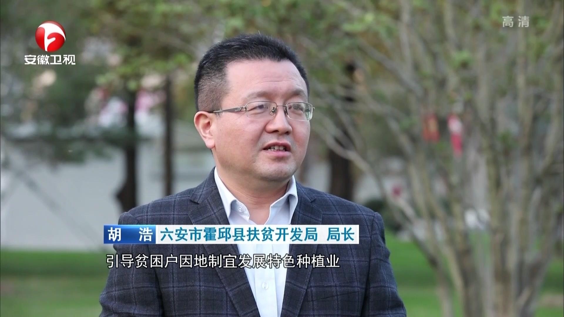 不断壮大扶贫产业 夯实脱贫基础