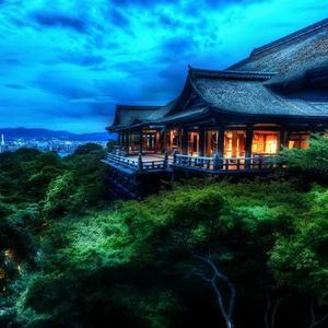 婷婷的影视 