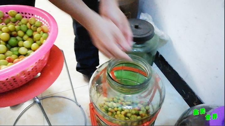 你家有青梅吗?黄哥教你泡青梅酒,累时喝上它降降疲劳,口感超好