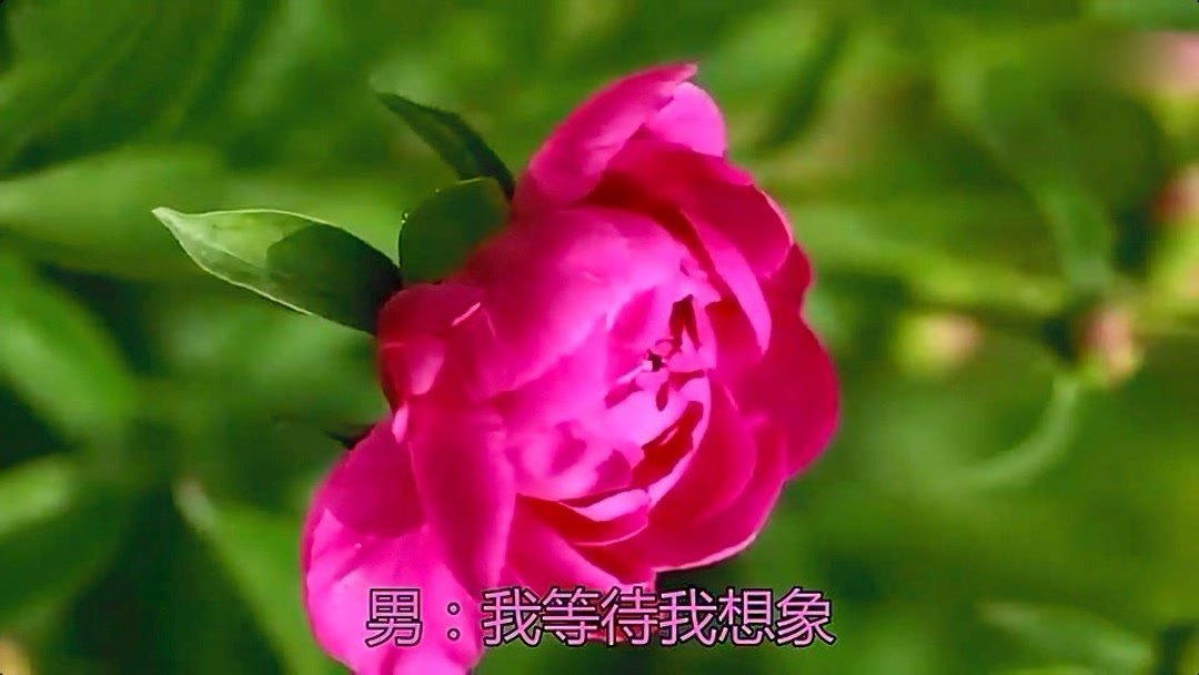 经典歌曲《月亮之上》超级好听!送给大家