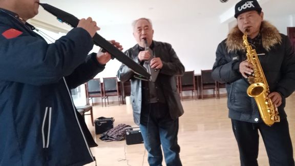 国产卓恩电管十罗兰AE05十中音萨合奏《北国之春》