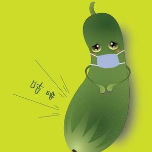 东瓜爆炸了 