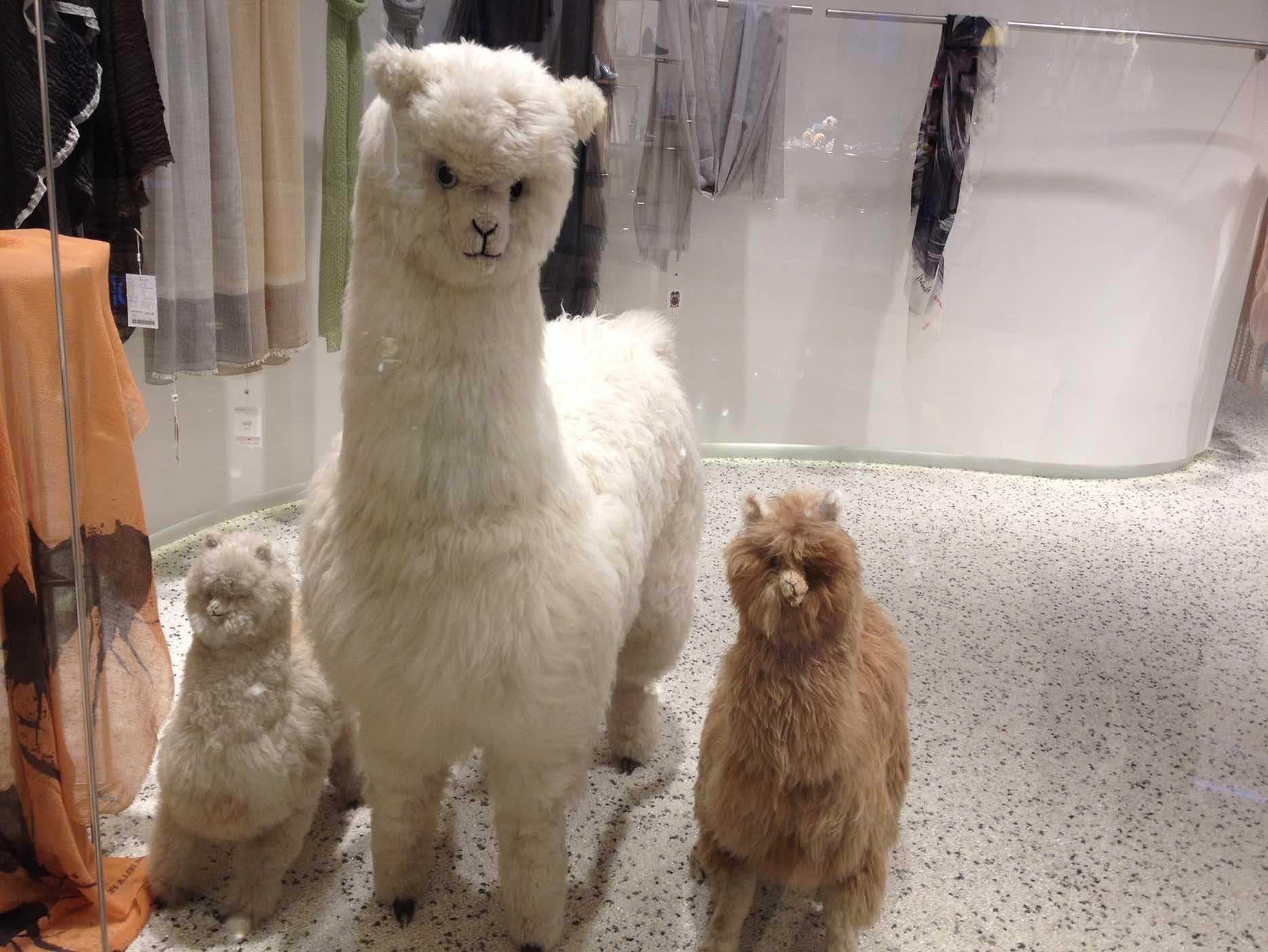 中外名人品牌事业部 