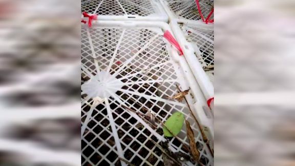 白色塑料箱里究竟藏着啥?3名男子乘坐电动车经过,被村民举报!