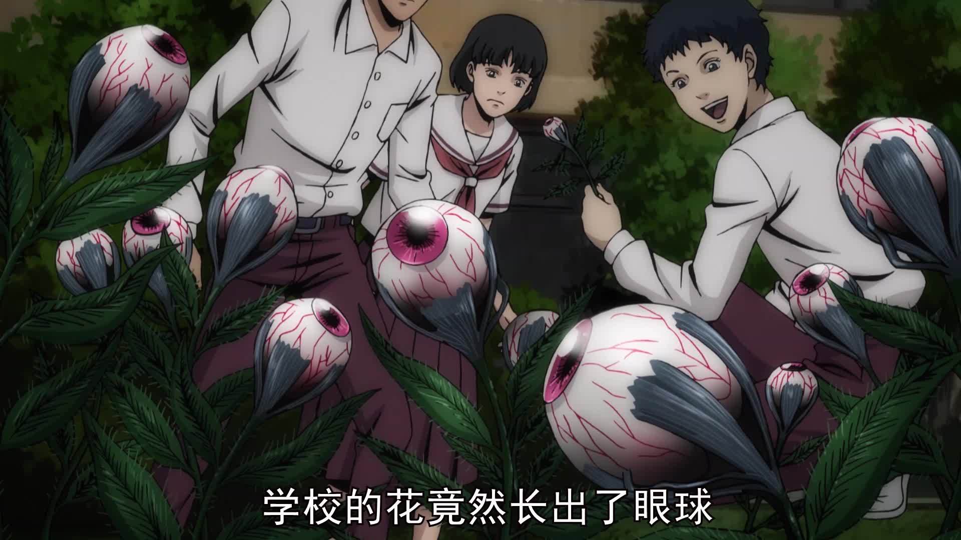 学校的花竟然长出了眼球