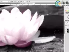 邢帅教育ps教程Photoshop教程水墨荷花教程