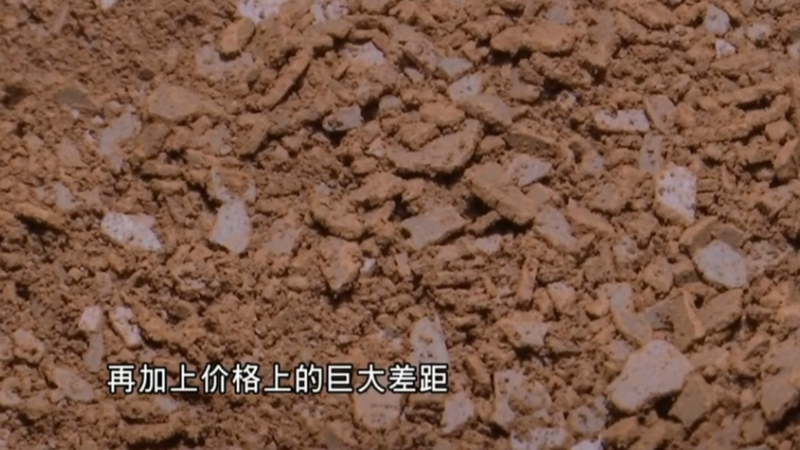 高价购买灵芝孢子粉，为何不敢喝？消费者质疑，真相如何？